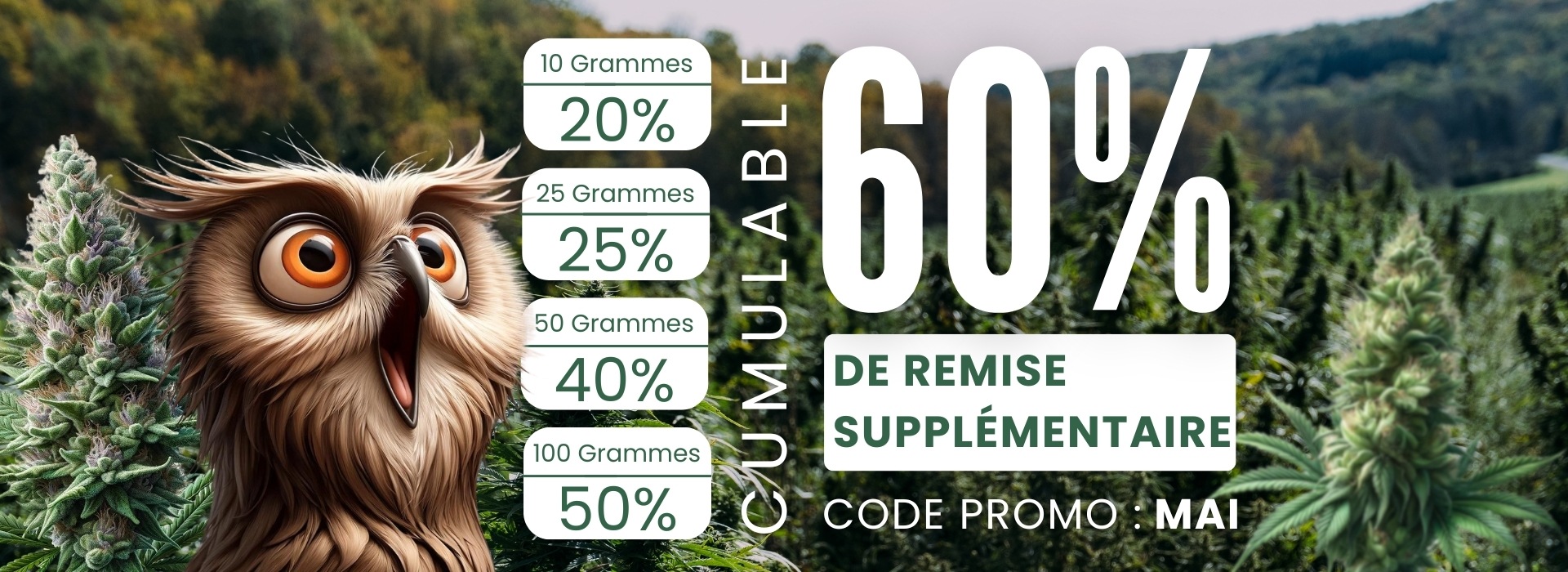 Greenowl CBD Shop: Huile de CBD puissante|Magasin en Ligne de CBD
