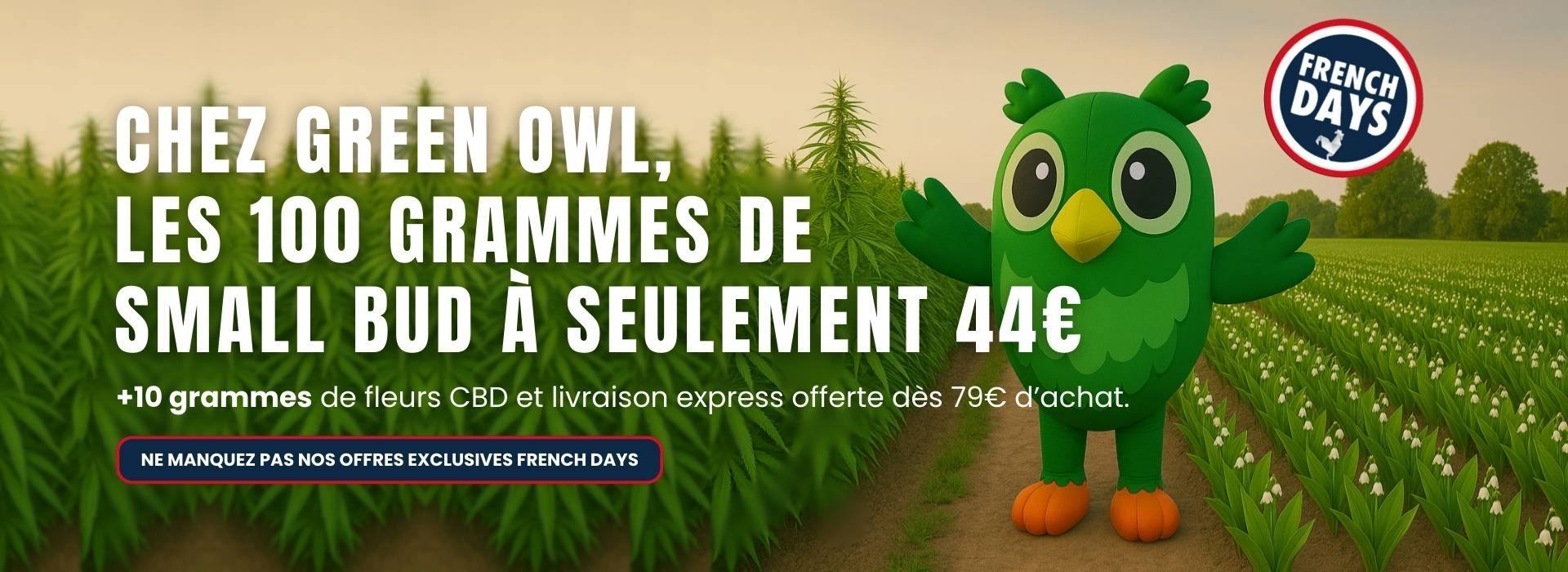 Huile CBD [Livraison 24h] Bienfaits & Effets - Greenowl